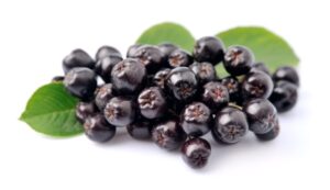 Sunde bær i haven - Hus & Have Avisen Haven